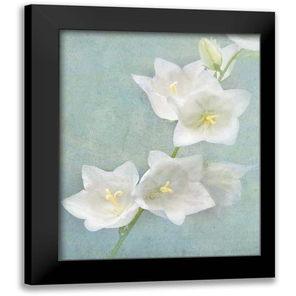 Melious, Amy 15x18 Black Modern Framed Museum Art Print Titled - Aqua ...