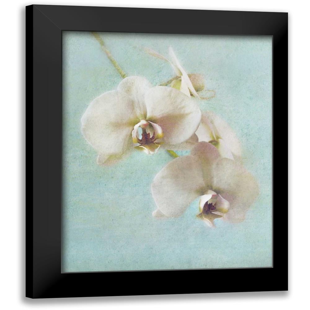 Melious, Amy 15x18 Black Modern Framed Museum Art Print Titled - Aqua ...