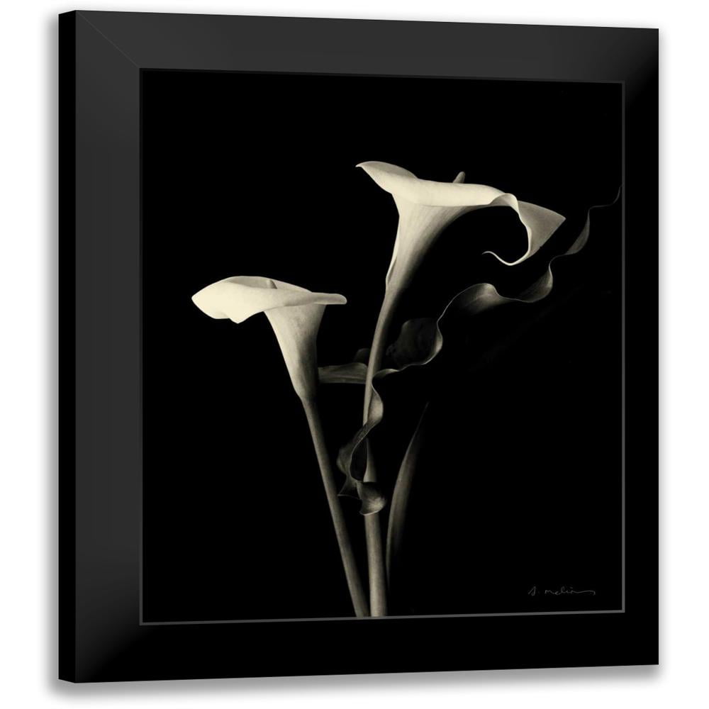 Melious, Amy 15x18 Black Modern Framed Museum Art Print Titled ...