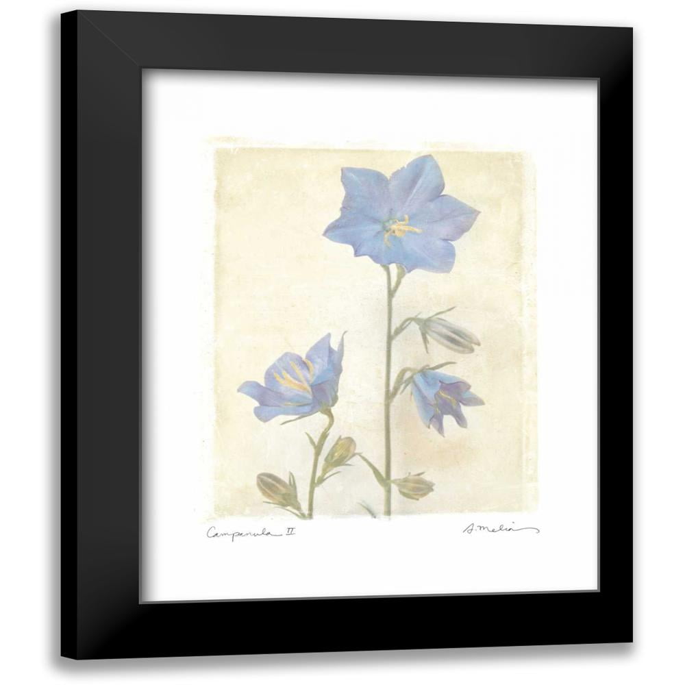 Melious, Amy 15x18 Black Modern Framed Museum Art Print Titled ...