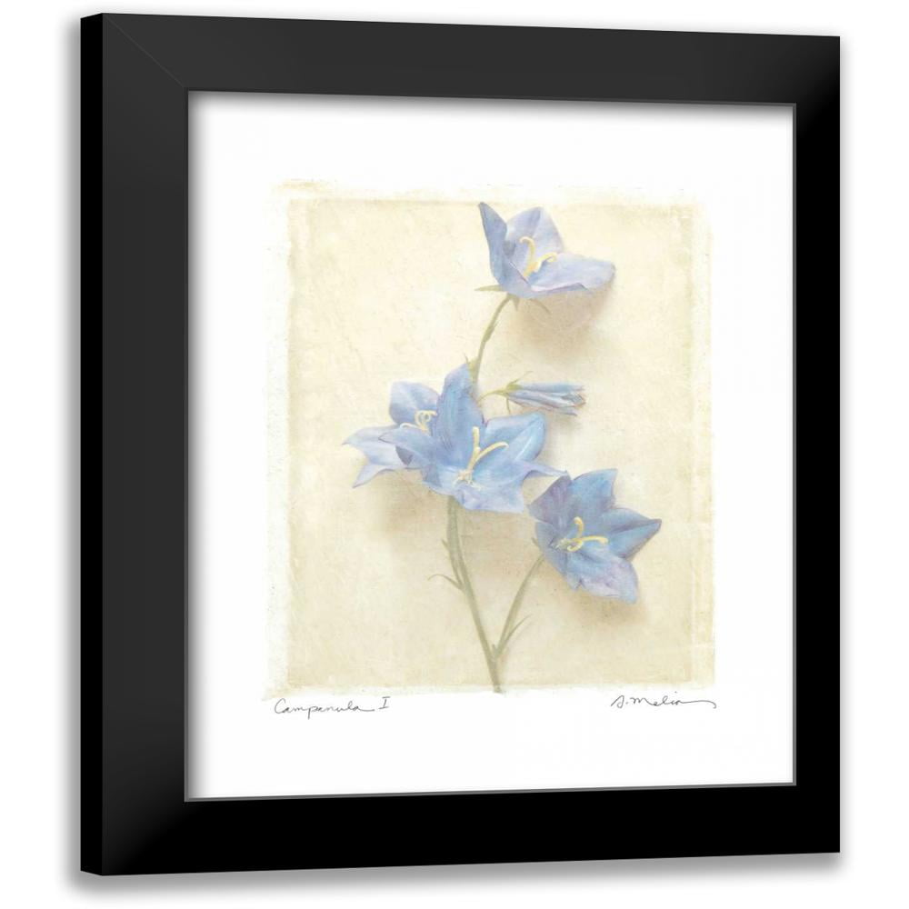 Melious, Amy 15x18 Black Modern Framed Museum Art Print Titled ...