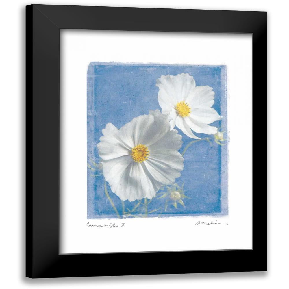 Melious, Amy 15x18 Black Modern Framed Museum Art Print Titled - Cosmos ...