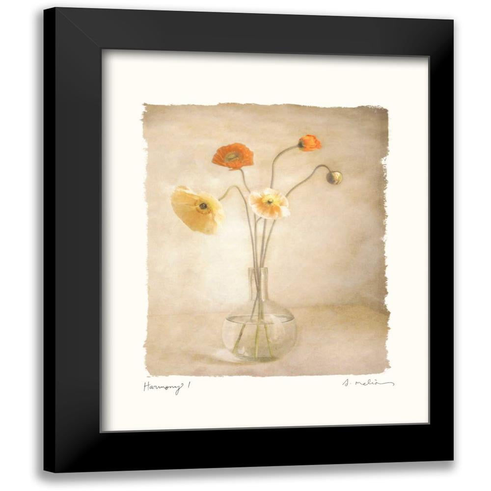 Melious, Amy 15x18 Black Modern Framed Museum Art Print Titled ...