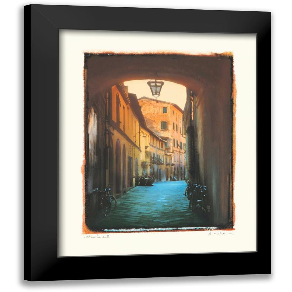 Melious, Amy 15x18 Black Modern Framed Museum Art Print Titled ...