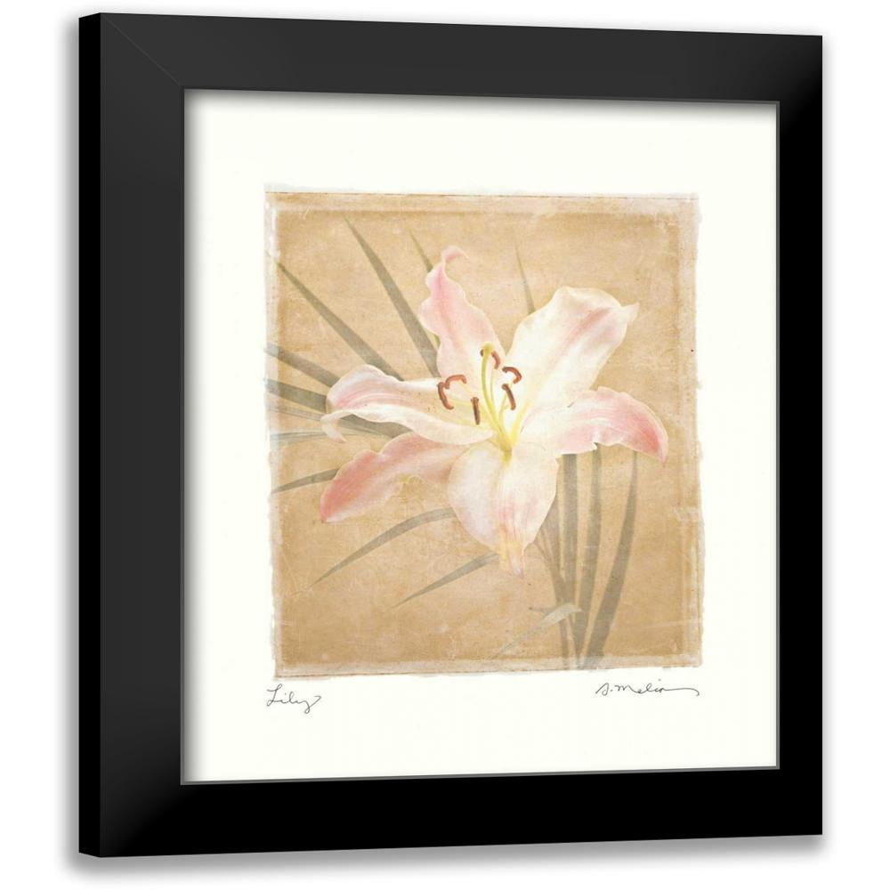 Melious, Amy 15x18 Black Modern Framed Museum Art Print Titled - Lily ...