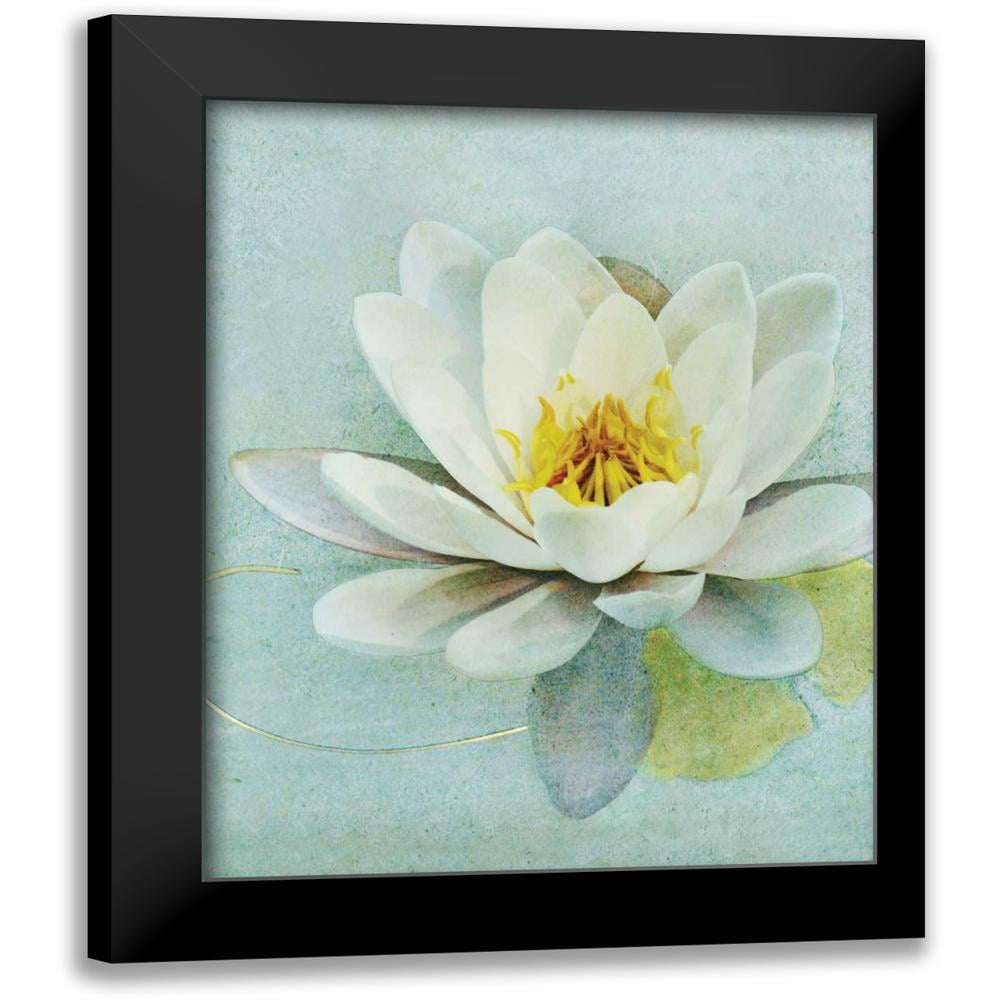 Melious, Amy 15x18 Black Modern Framed Museum Art Print Titled - Pond ...