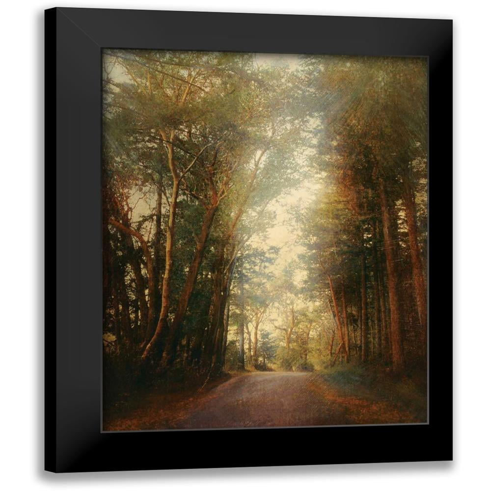Melious, Amy 15x18 Black Modern Framed Museum Art Print Titled - Road ...