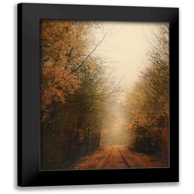 Melious, Amy 15x18 Black Modern Framed Museum Art Print Titled - Road ...