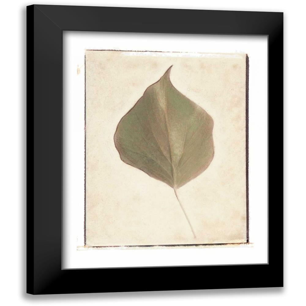 Melious, Amy 15x18 Black Modern Framed Museum Art Print Titled - Single ...