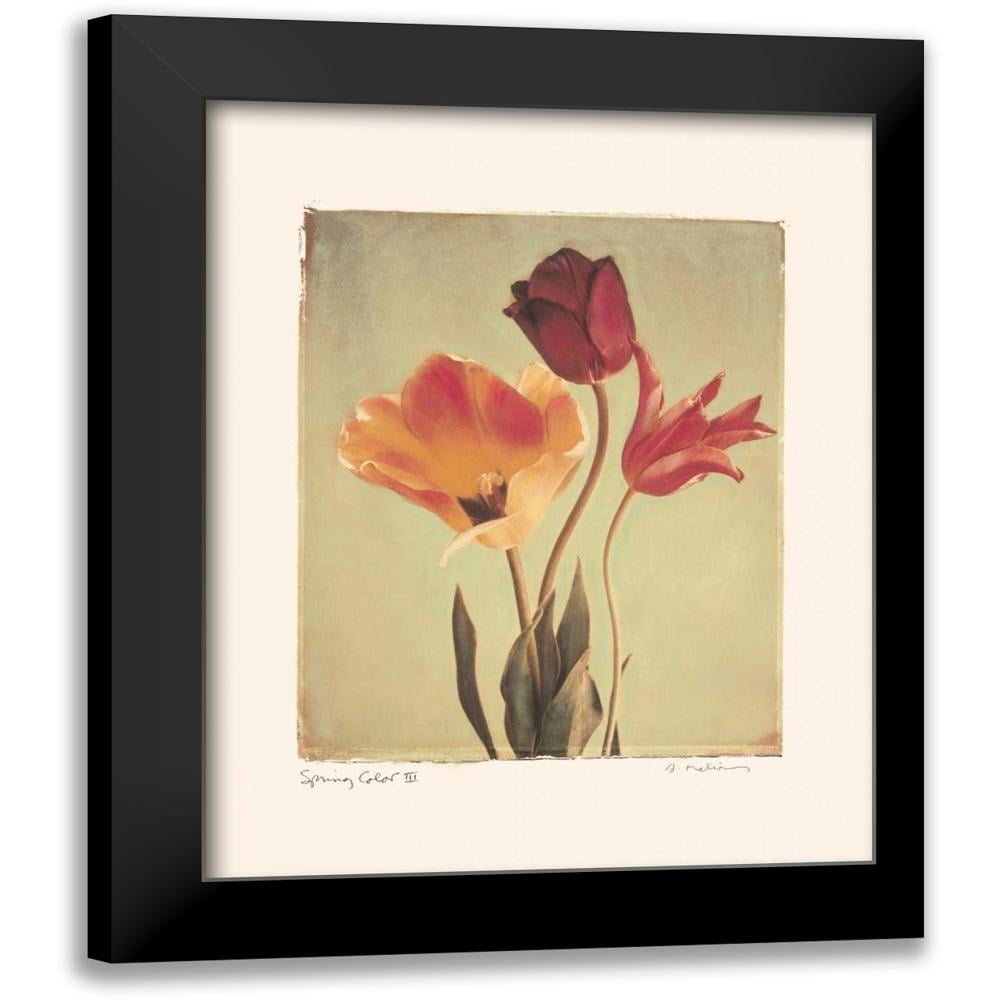 Melious, Amy 15x18 Black Modern Framed Museum Art Print Titled - Spring ...