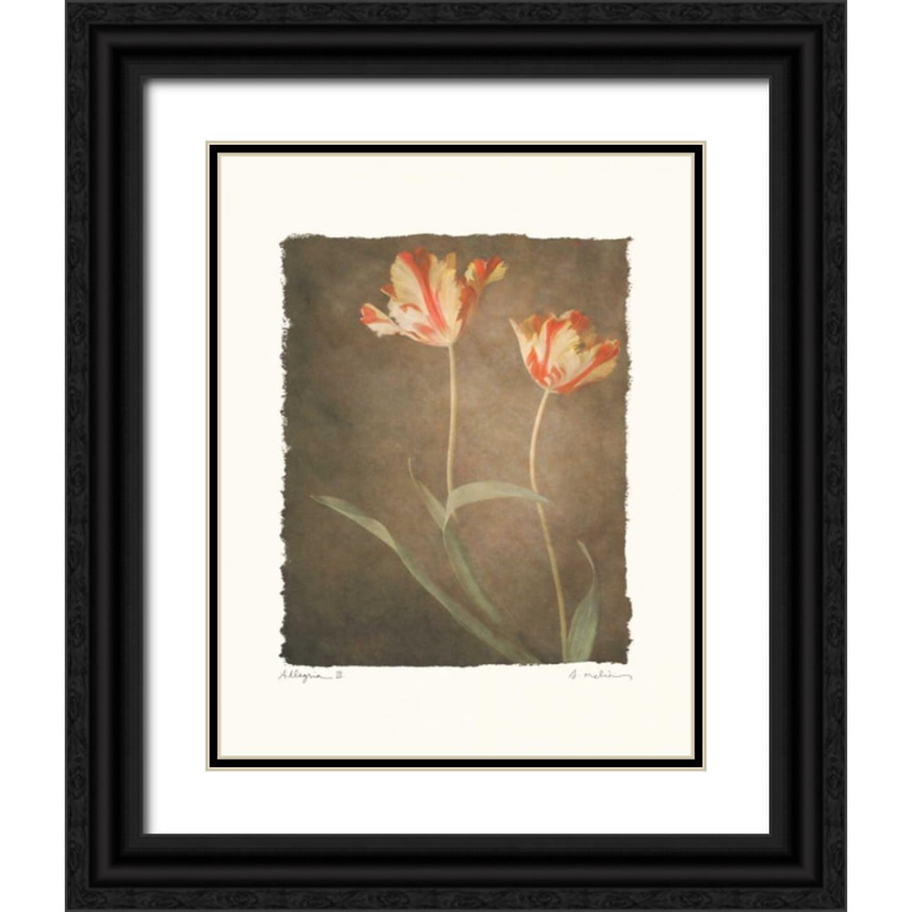 Melious, Amy 15x18 Black Ornate Wood Framed with Double Matting Museum ...