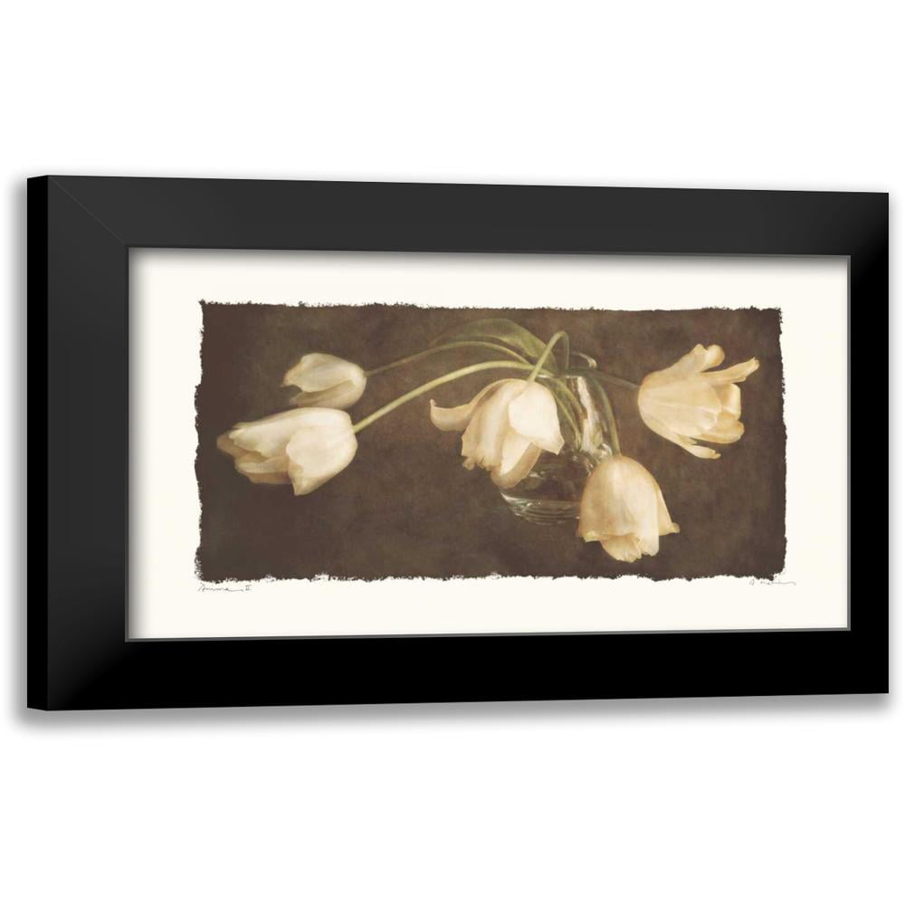 Melious, Amy 18x12 Black Modern Framed Museum Art Print Titled - Anima ...