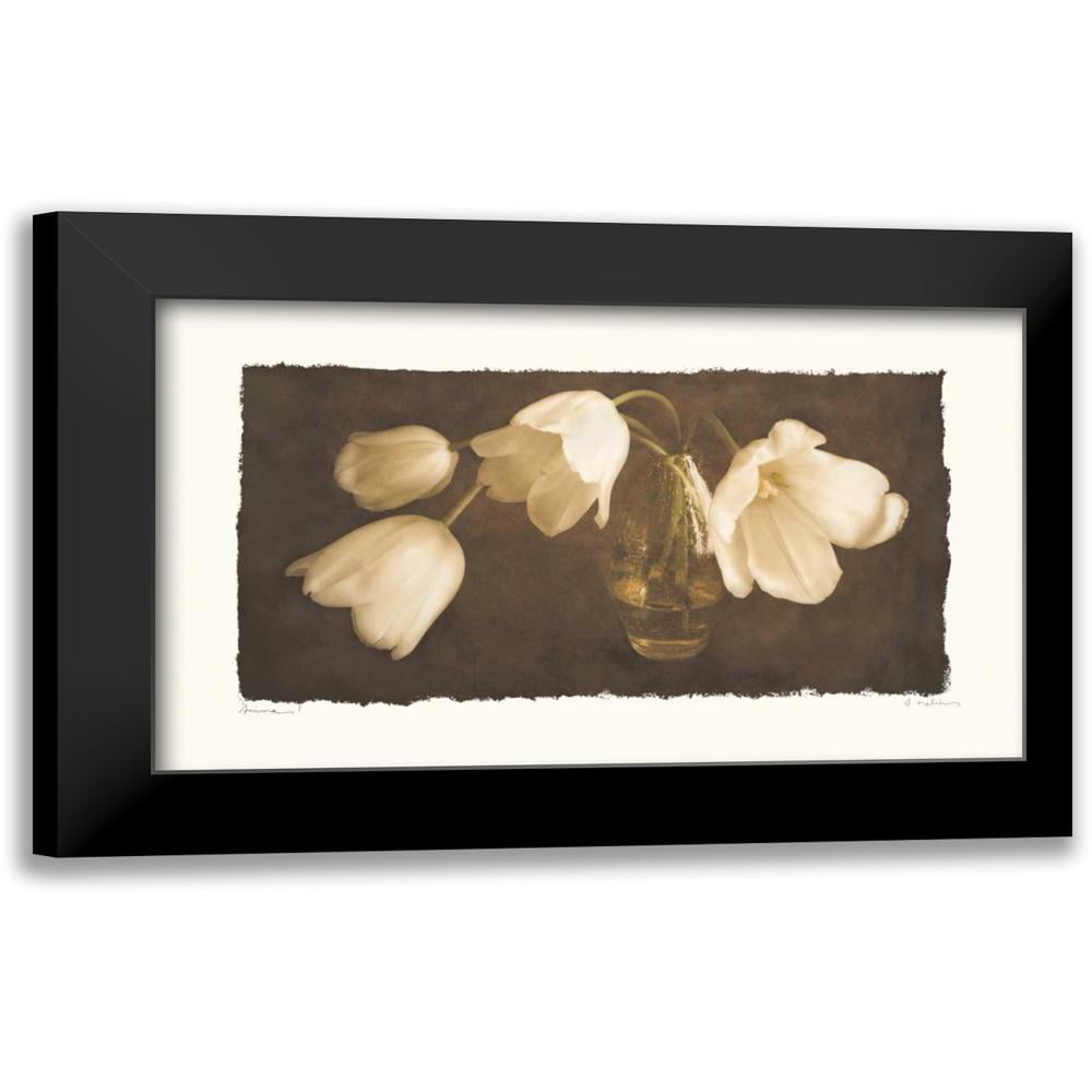 Melious, Amy 18x12 Black Modern Framed Museum Art Print Titled - Anima ...