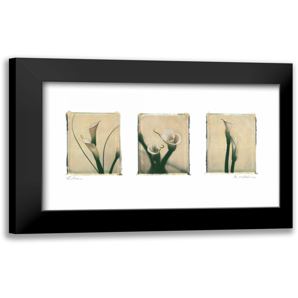 Melious, Amy 18x12 Black Modern Framed Museum Art Print Titled - Lilies ...