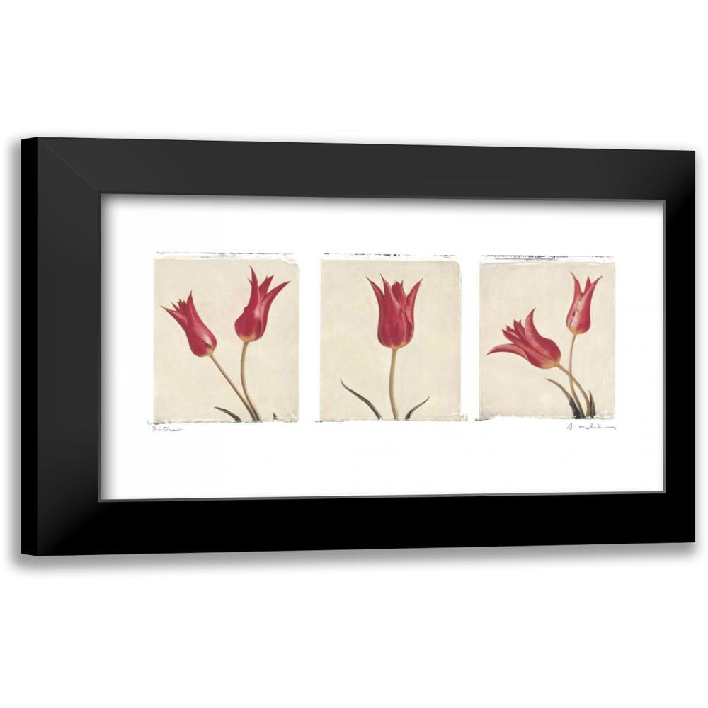 Melious, Amy 18x12 Black Modern Framed Museum Art Print Titled ...