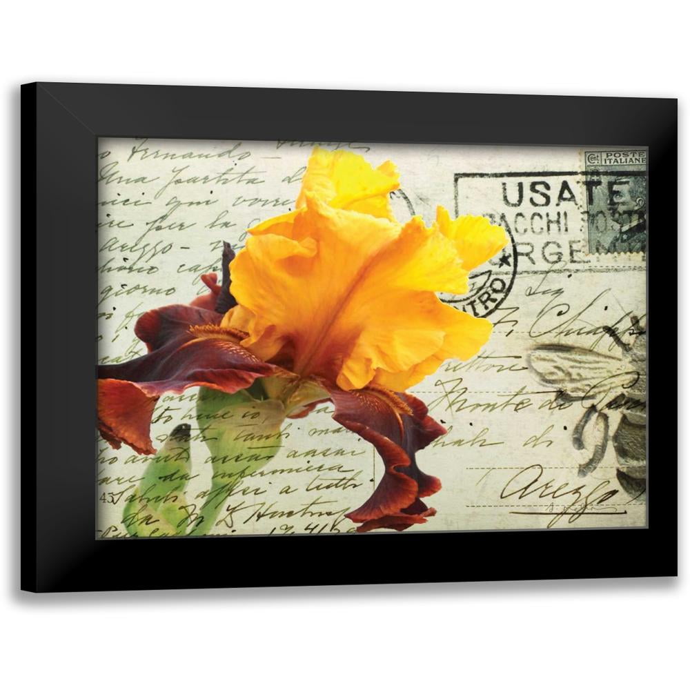 Melious, Amy 18x15 Black Modern Framed Museum Art Print Titled - Carte ...