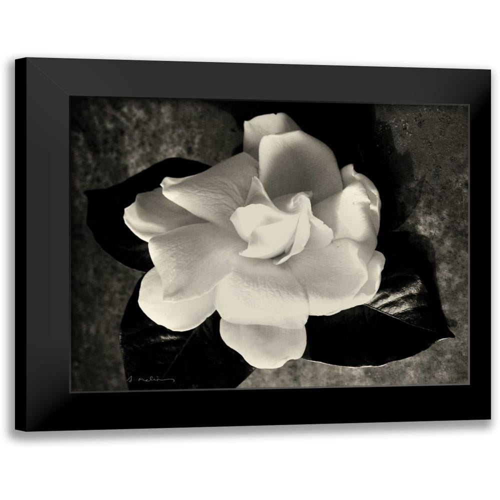 Melious, Amy 18x15 Black Modern Framed Museum Art Print Titled ...