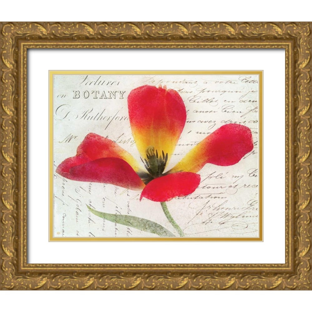 Melious, Amy 18x15 Gold Ornate Wood Framed with Double Matting Museum ...