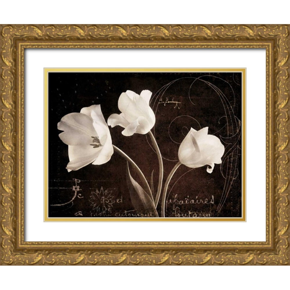 Melious, Amy 18x15 Gold Ornate Wood Framed with Double Matting Museum ...