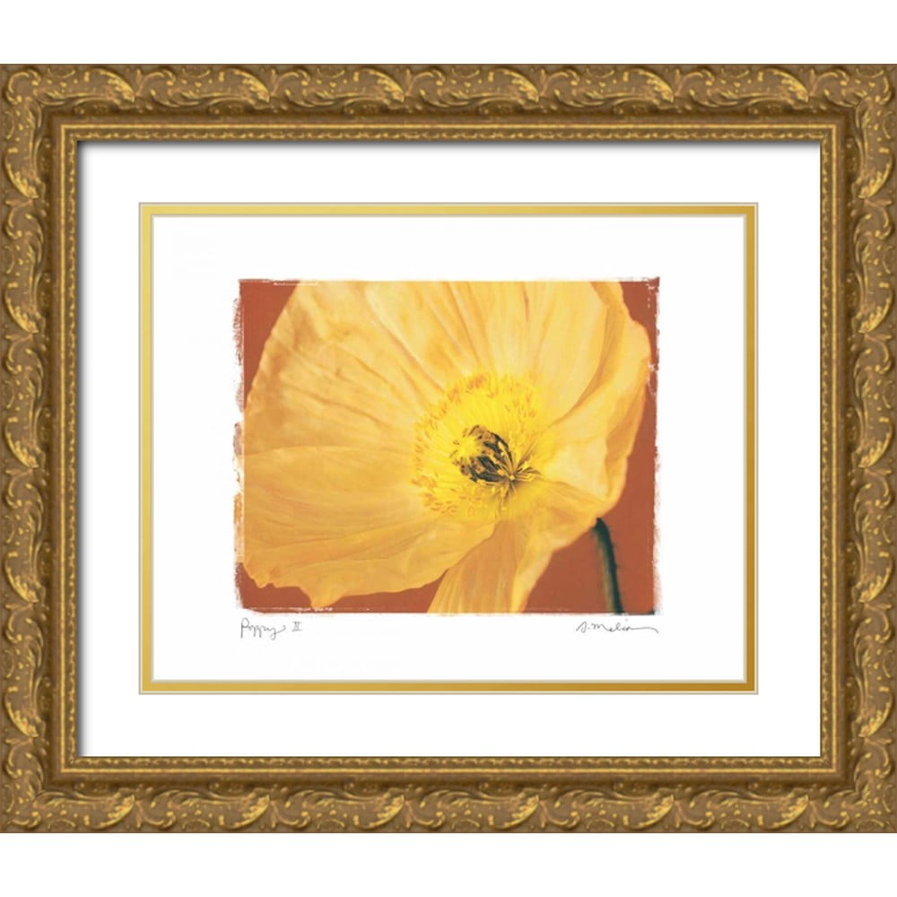 Melious, Amy 18x15 Gold Ornate Wood Framed with Double Matting Museum ...