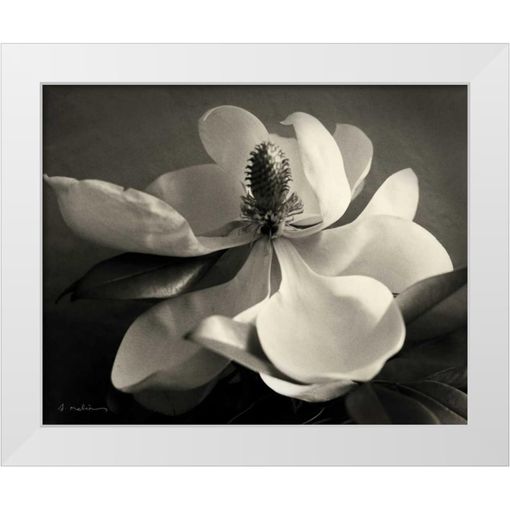 Melious, Amy 18x15 White Modern Wood Framed Museum Art Print Titled ...