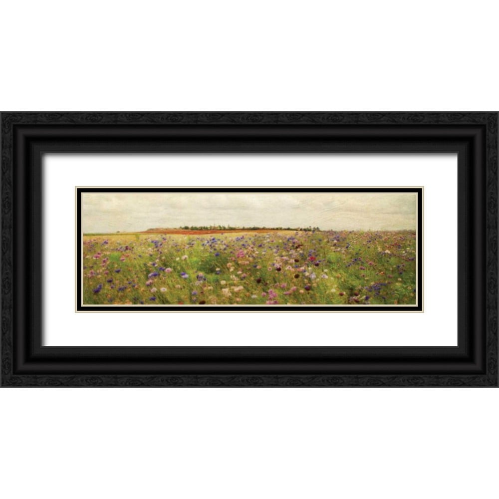 Melious, Amy 18x9 Black Ornate Wood Framed with Double Matting Museum ...