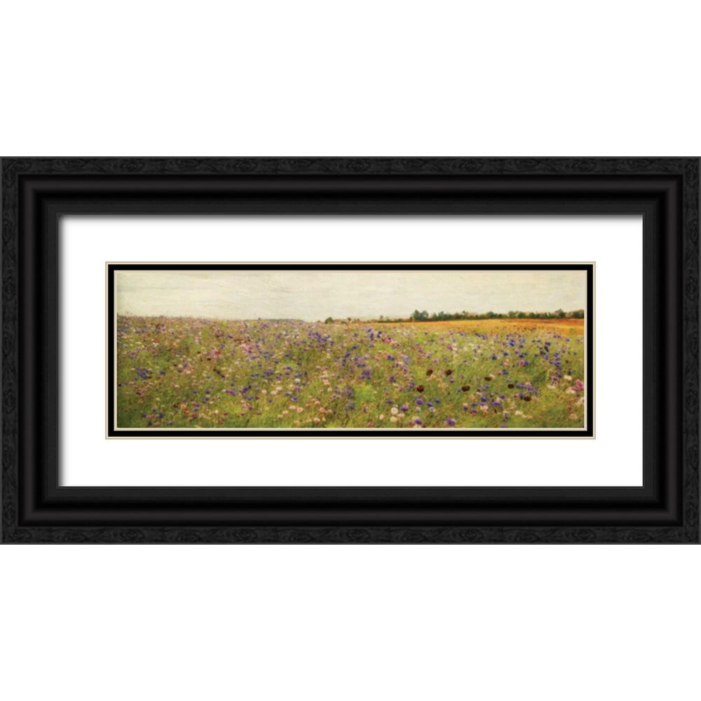 Melious, Amy 18x9 Black Ornate Wood Framed with Double Matting Museum ...