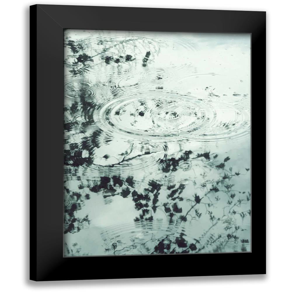 Melious, Amy 19x24 Black Modern Framed Museum Art Print Titled ...