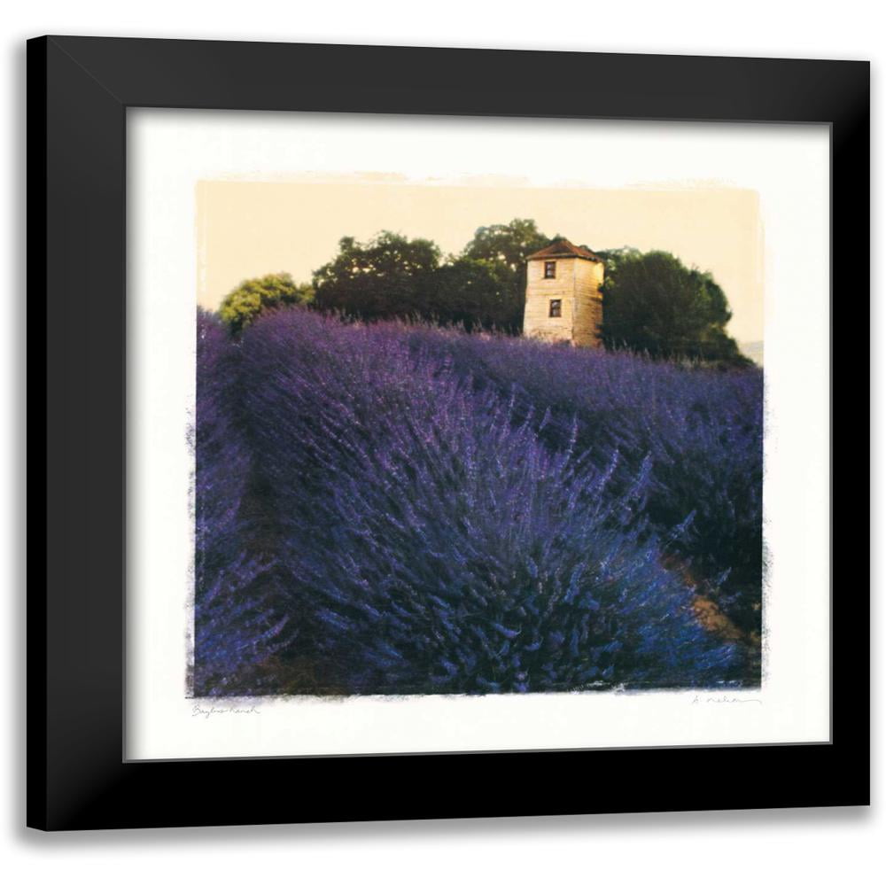 Melious, Amy 20x20 Black Modern Framed Museum Art Print Titled ...