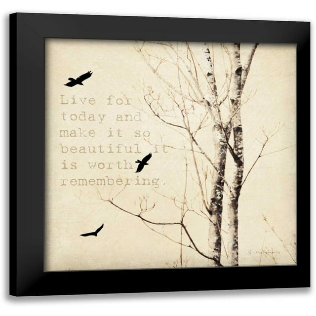 Melious, Amy 20x20 Black Modern Framed Museum Art Print Titled - Birds ...