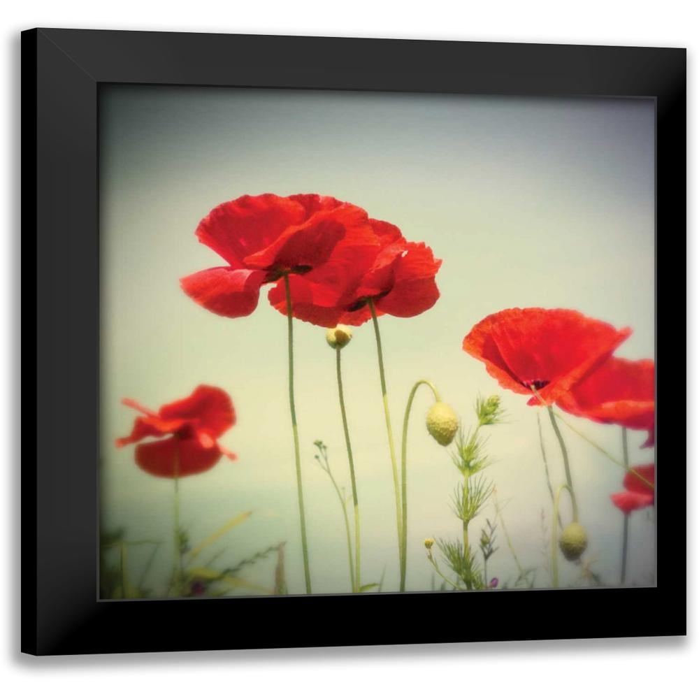 Melious, Amy 20x20 Black Modern Framed Museum Art Print Titled - Bloom ...