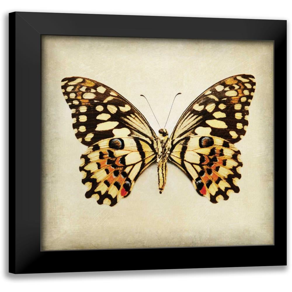 Melious, Amy 20x20 Black Modern Framed Museum Art Print Titled ...