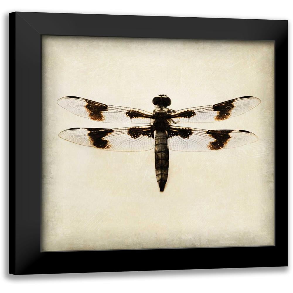 Melious, Amy 20x20 Black Modern Framed Museum Art Print Titled ...