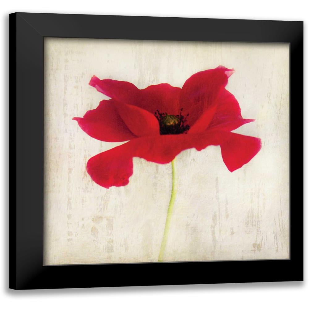 Melious, Amy 20x20 Black Modern Framed Museum Art Print Titled - Red I ...
