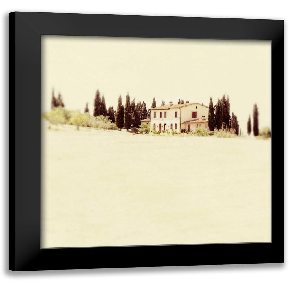 Melious, Amy 20x20 Black Modern Framed Museum Art Print Titled - Tuscan ...