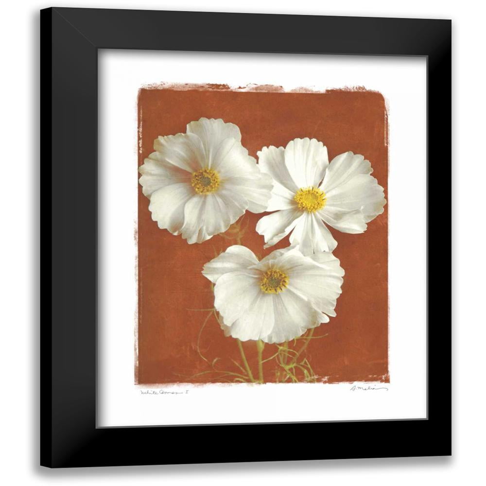 Melious, Amy 20x24 Black Modern Framed Museum Art Print Titled - White ...