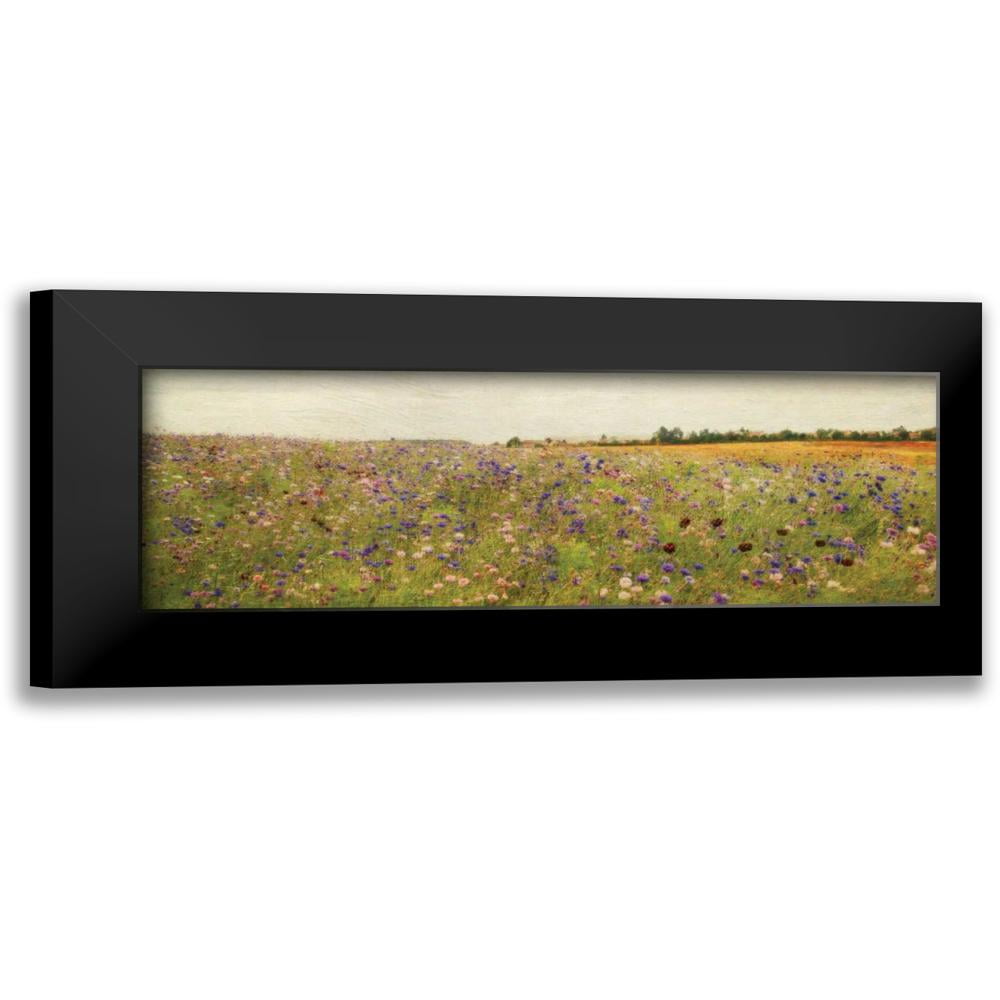 Melious, Amy 24x11 Black Modern Framed Museum Art Print Titled ...