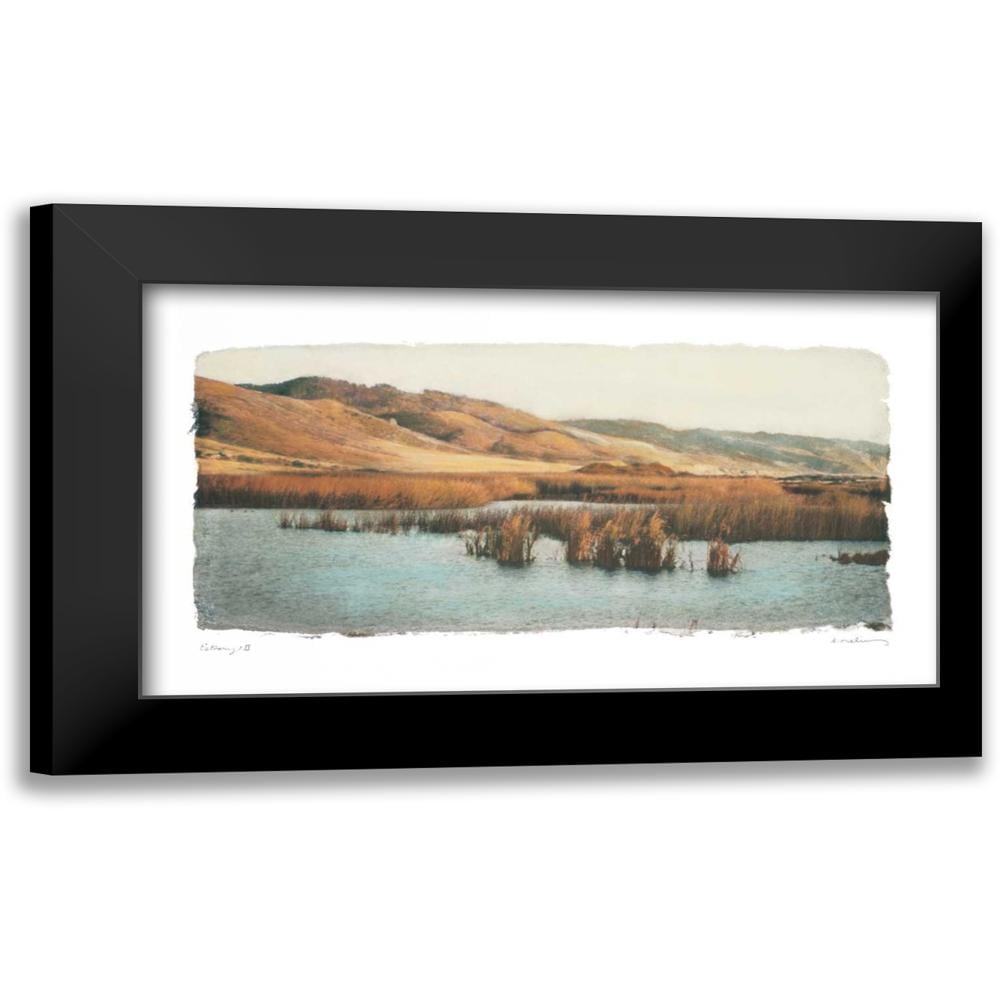 Melious, Amy 24x15 Black Modern Framed Museum Art Print Titled ...