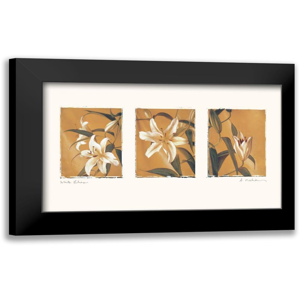 Melious, Amy 24x16 Black Modern Framed Museum Art Print Titled - White ...