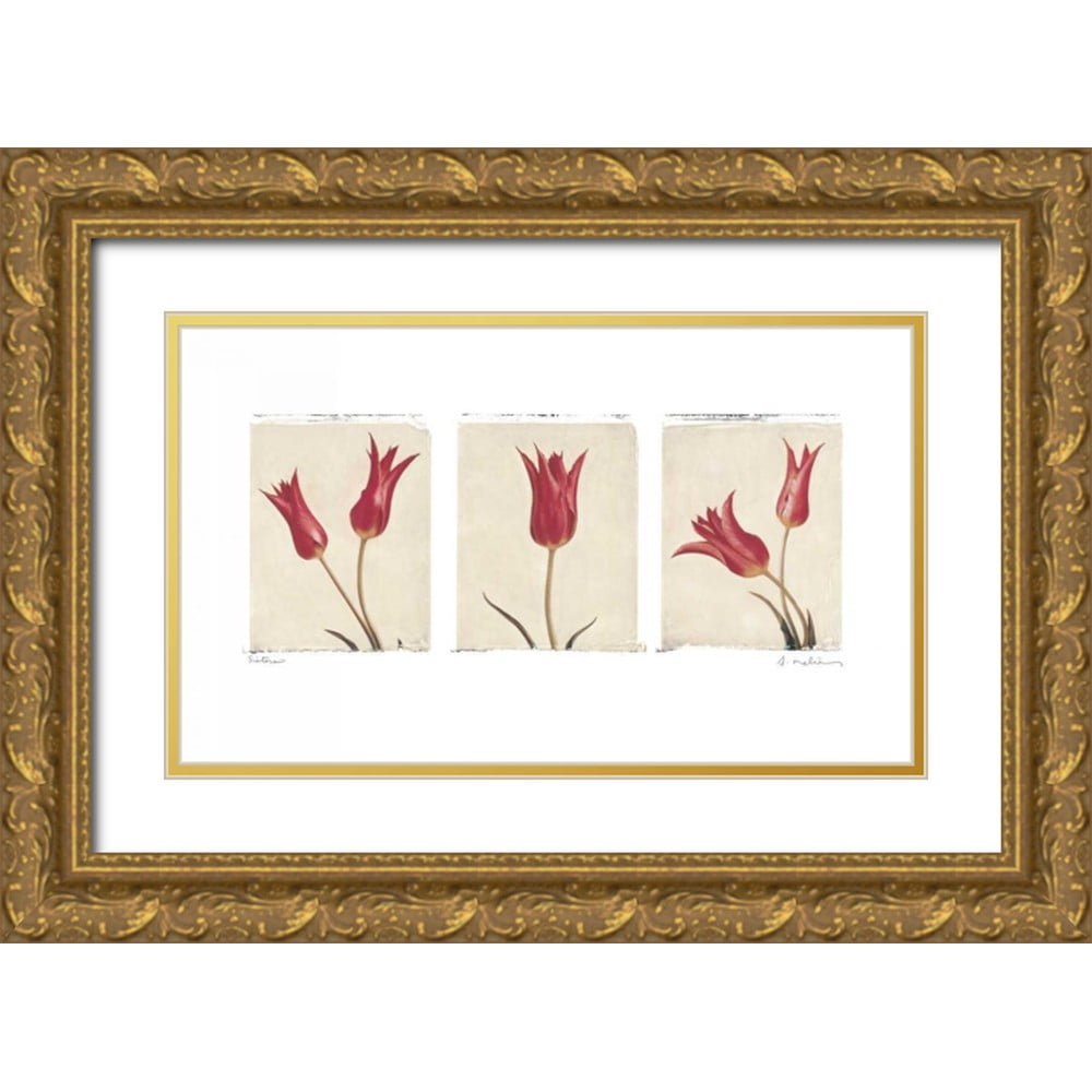 Melious, Amy 24x16 Gold Ornate Wood Framed with Double Matting Museum ...