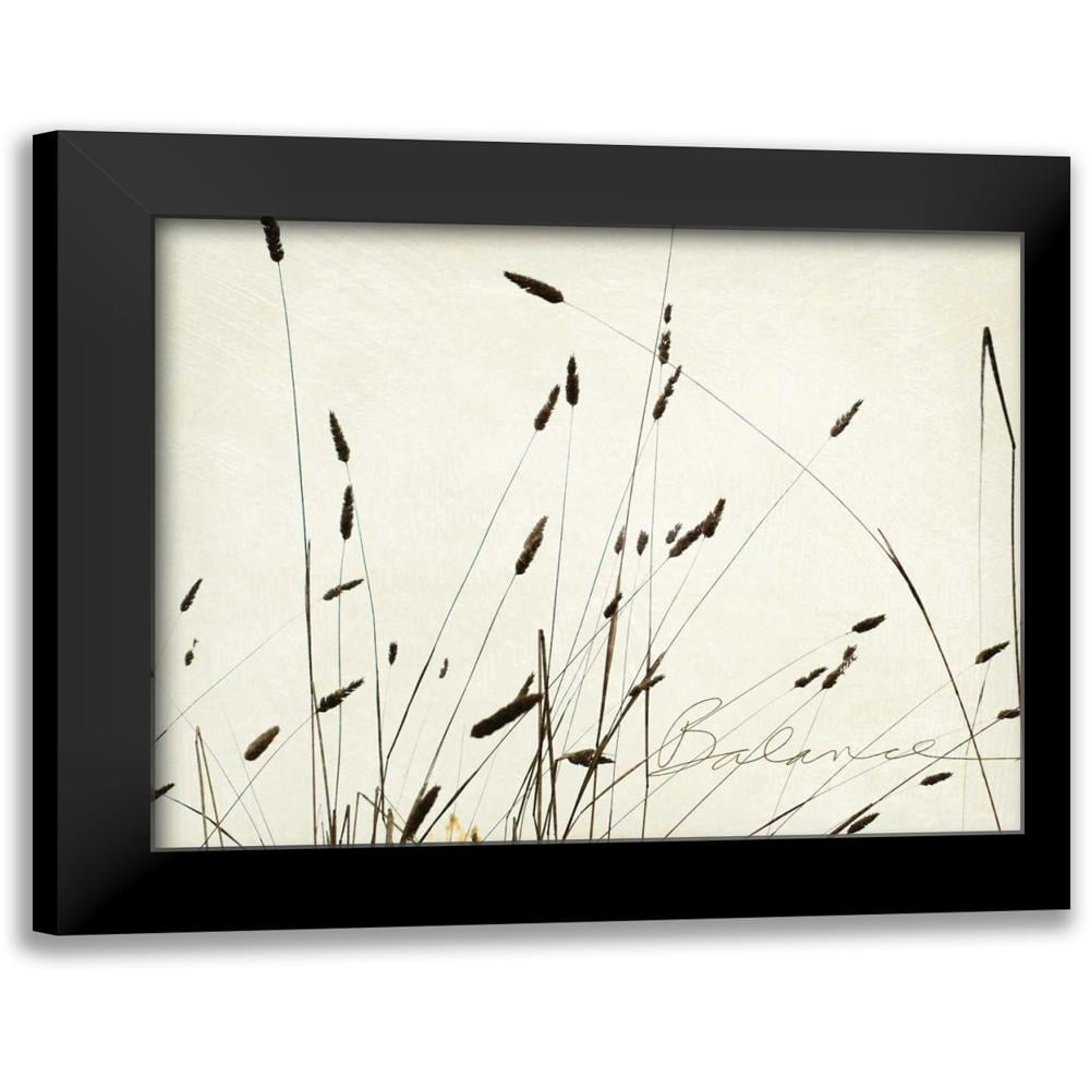 Melious, Amy 24x20 Black Modern Framed Museum Art Print Titled - Grass ...