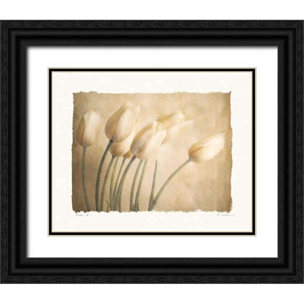 Melious, Amy 24x20 Black Ornate Wood Framed with Double Matting Museum Art Print Titled - Aria ...