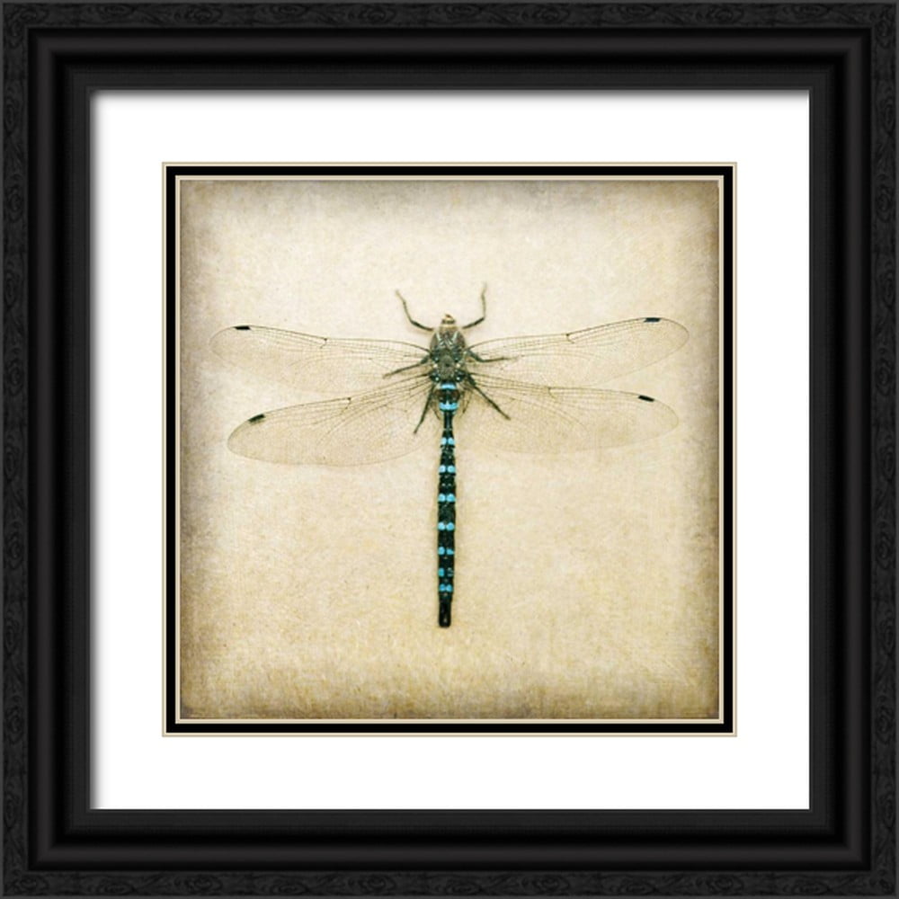 Melious, Amy 26x26 Black Ornate Wood Framed with Double Matting Museum ...