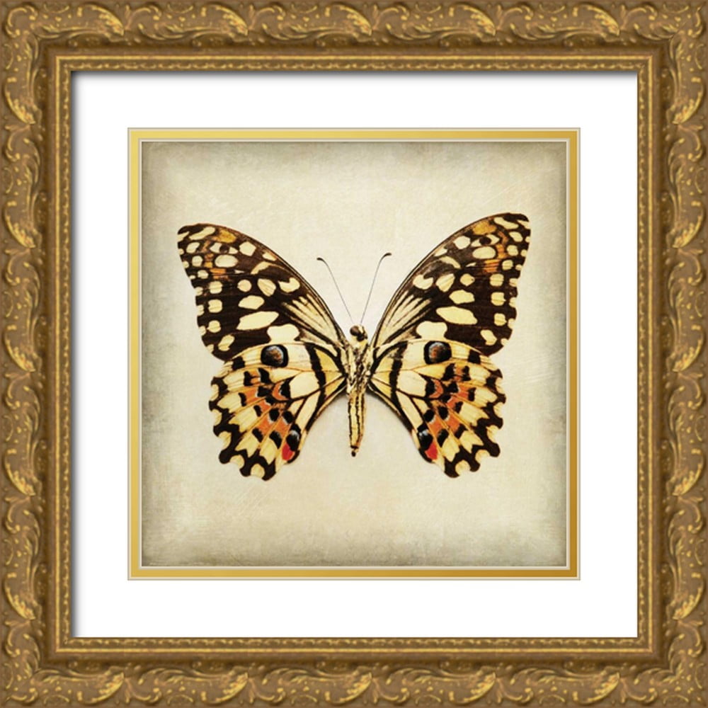 Melious, Amy 26x26 Gold Ornate Wood Framed with Double Matting Museum ...