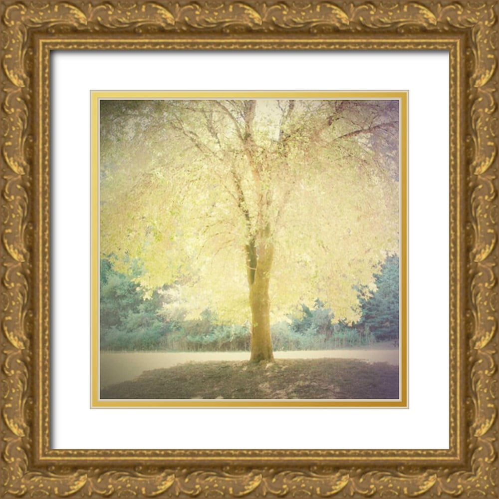 Melious, Amy 26x26 Gold Ornate Wood Framed with Double Matting Museum ...