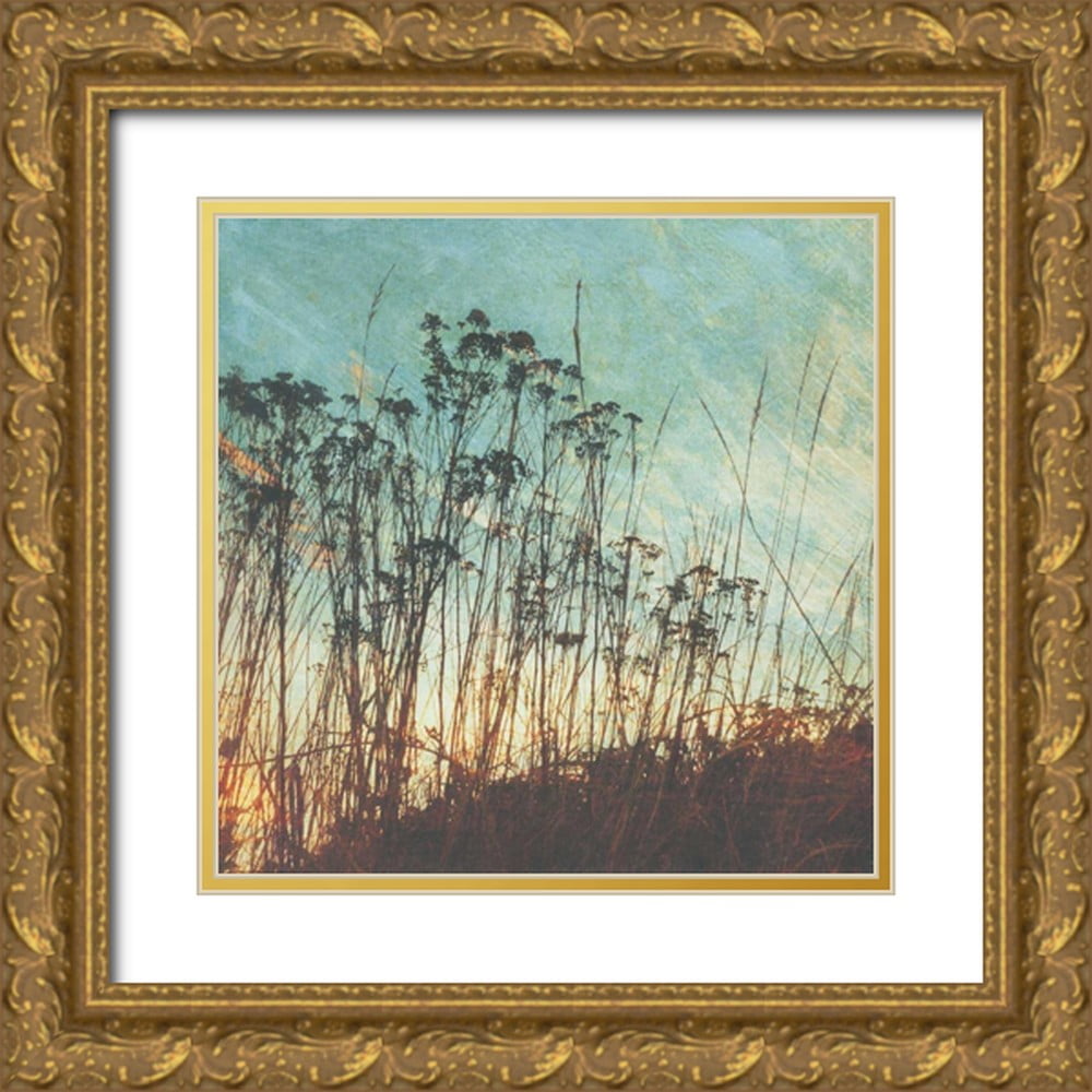 Melious, Amy 26x26 Gold Ornate Wood Framed with Double Matting Museum ...