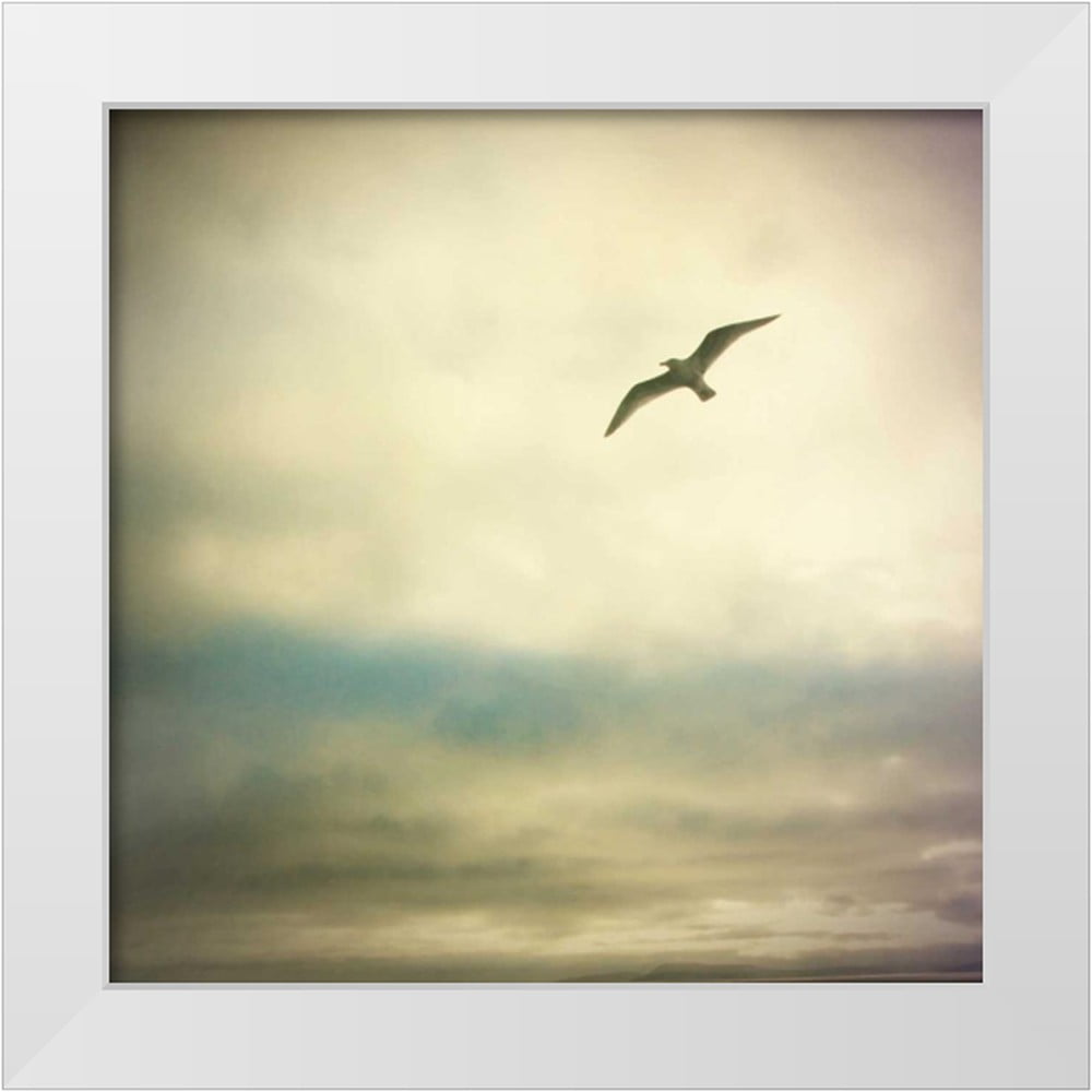 Melious, Amy 26x26 White Modern Wood Framed Museum Art Print Titled ...