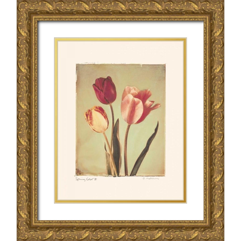 Melious, Amy 26x32 Gold Ornate Wood Framed with Double Matting Museum ...