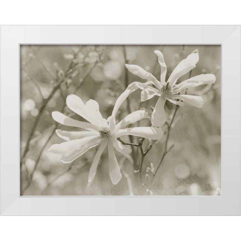 Melious, Amy 32x25 White Modern Wood Framed Museum Art Print Titled ...
