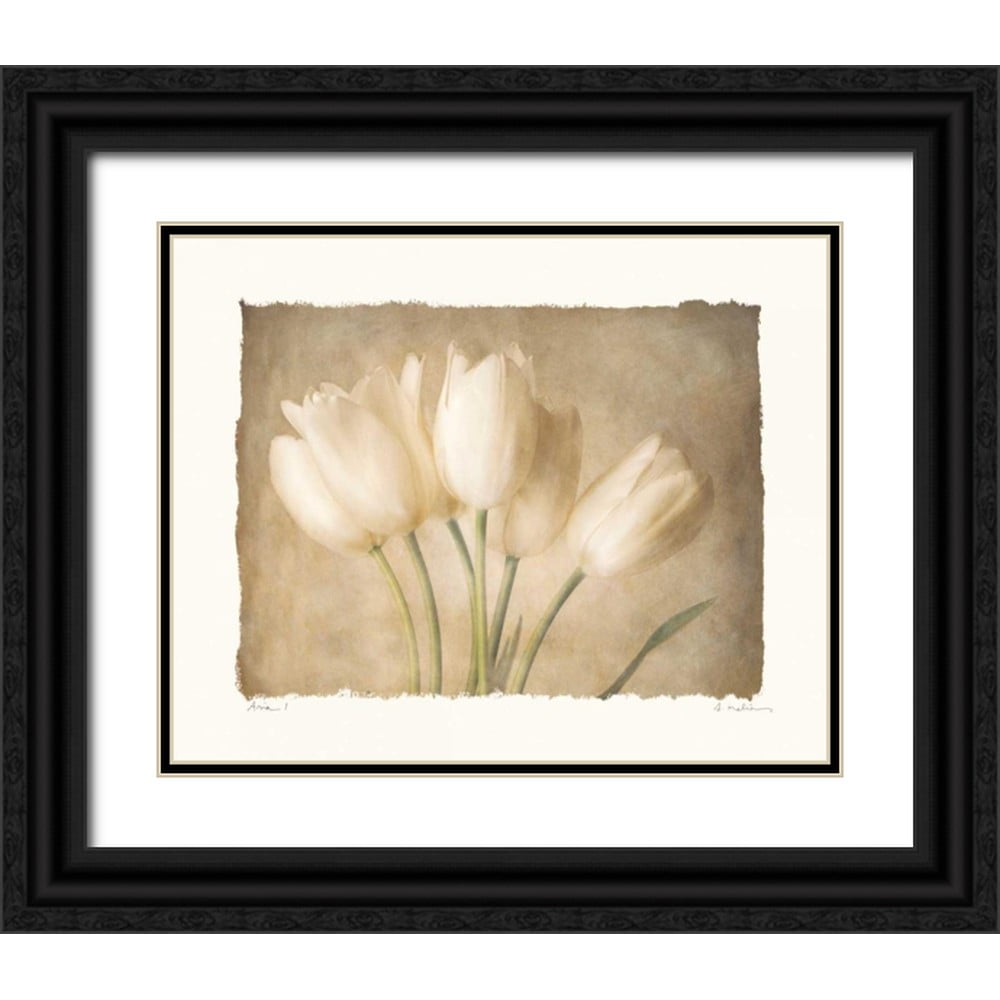 Melious, Amy 32x26 Black Ornate Wood Framed with Double Matting Museum Art Print Titled - Aria I ...